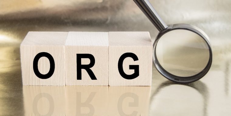 .ORG Domain Nedir, Kimler Kullanabilir? | Natro